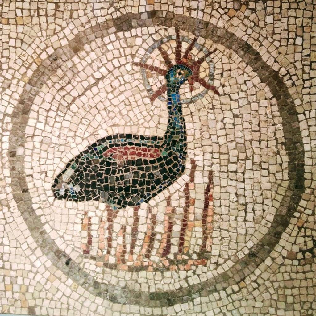 Where Did the Phoenix Come From, and Why Does It Keep Coming Back ...